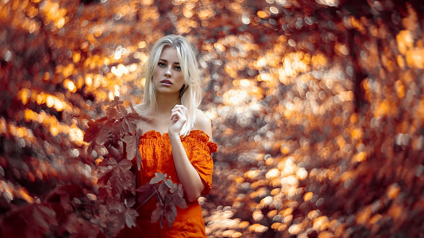 Autumn Girl Outdoor Girls Autumn People Hd Wallpaper Pxfuel