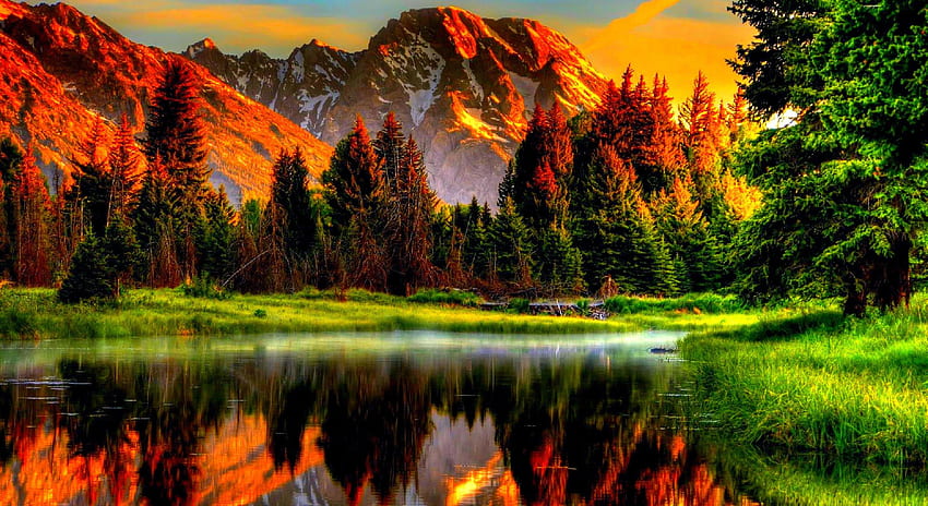 Nature Amazing Nature Hd Wallpaper Pxfuel